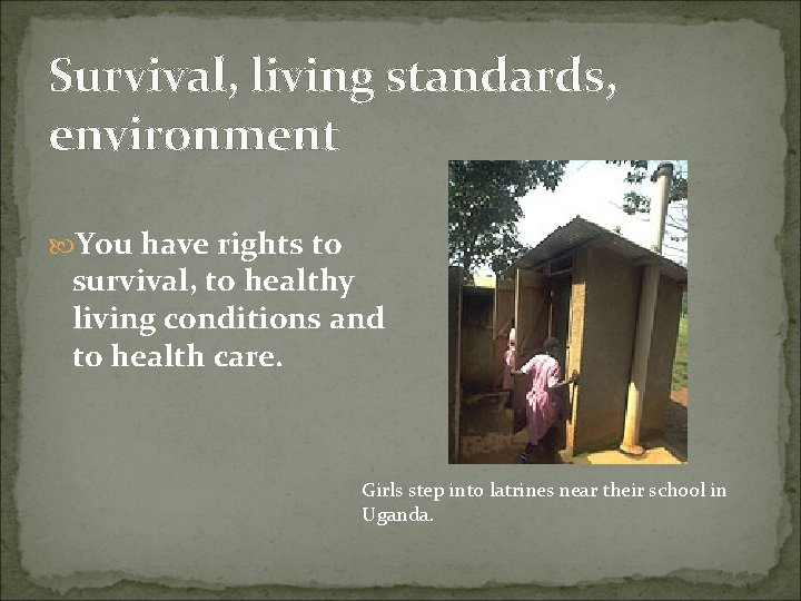 Review United Nations Purpose and Role Most of