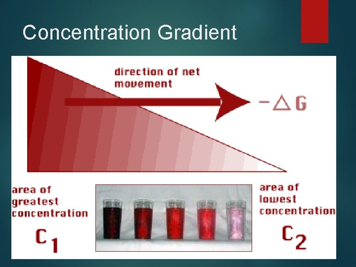 Happy Thursday Buffs BELLWORK FOR TODAY IN EXACTLY