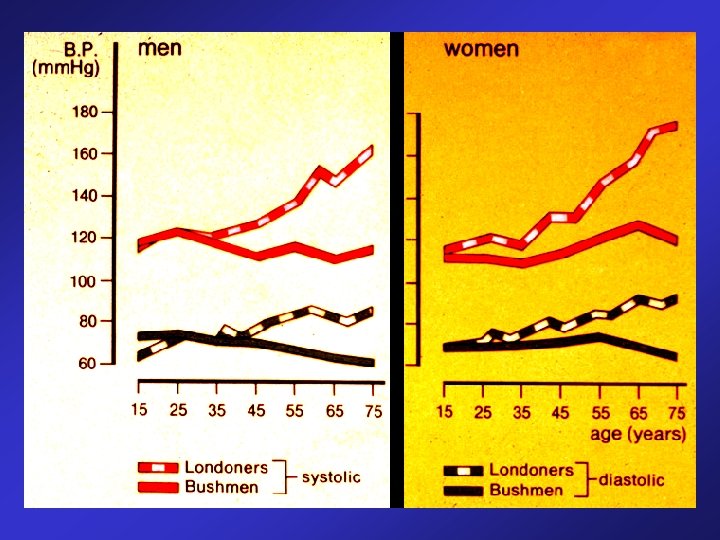 The Global Burden of Disease The scale of
