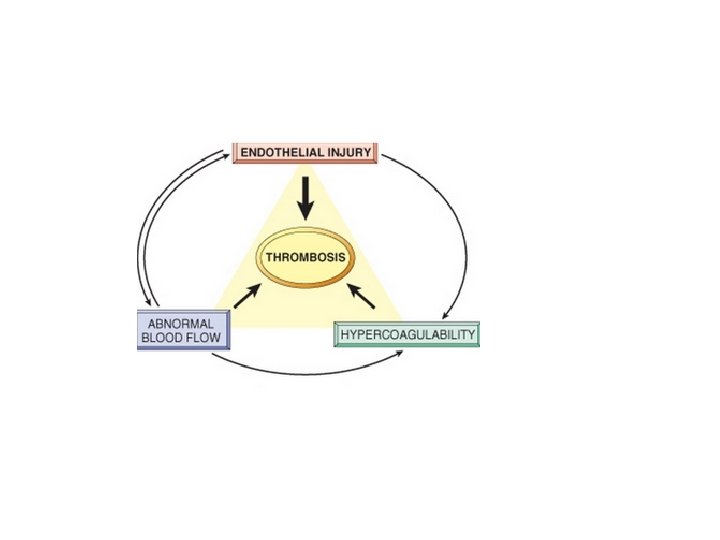 Thrombosis and embolism Thrombosis Gangrene Infarction Embolism Thrombosis