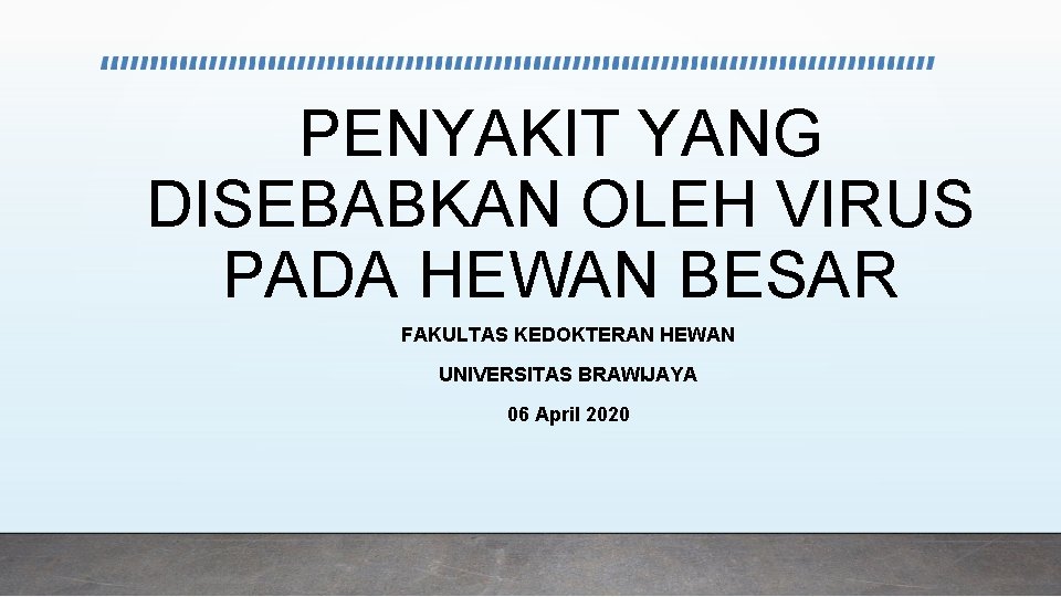 PENYAKIT YANG DISEBABKAN OLEH VIRUS PADA HEWAN BESAR