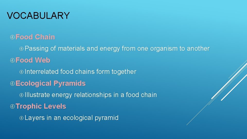 Producer Herbivore Consumer Omnivore Consumer Food chain of
