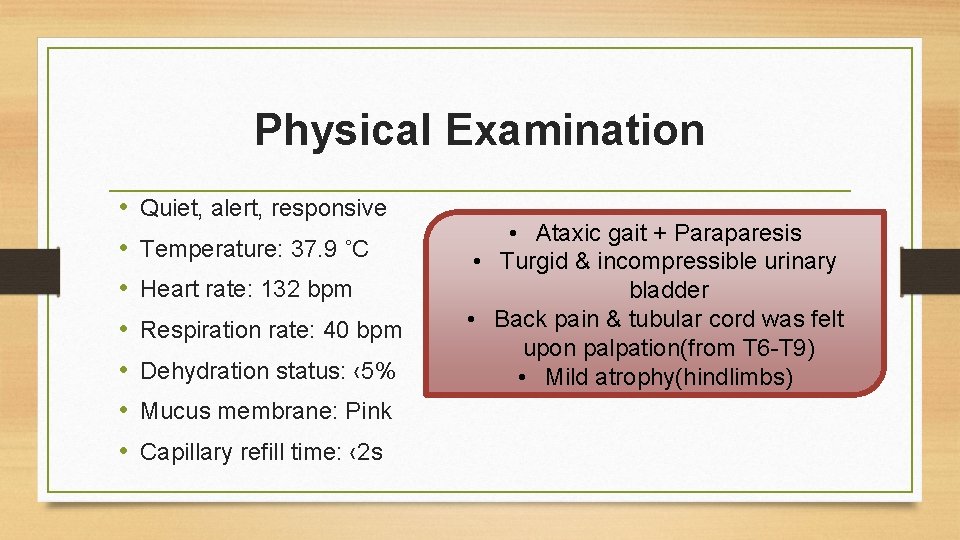 CONGENITAL SPINAL DERMOID SINUS IN DSH PRESENTED BY