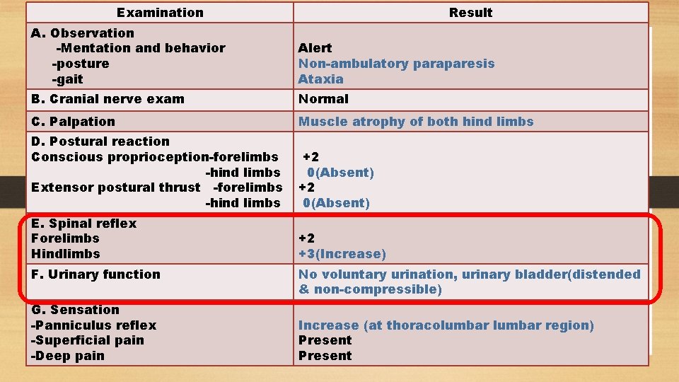 CONGENITAL SPINAL DERMOID SINUS IN DSH PRESENTED BY