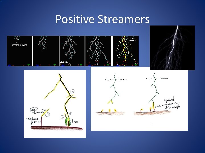 Lightning Cumulonimbus Clouds A majority of lightning occurs