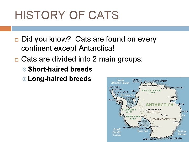 HISTORY BEHIND CATS First cat appeared 35 million