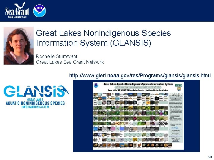 Great Lakes Nonindigenous Species Information System GLANSIS Rochelle