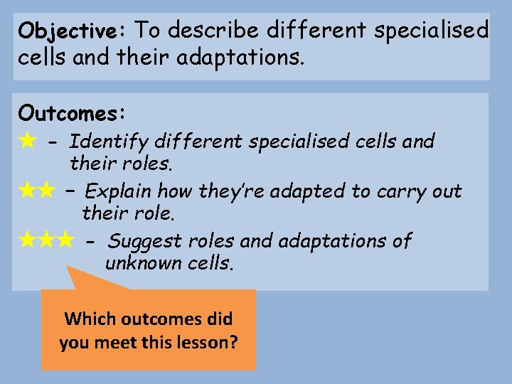 What are specialised cells Specialised cells are ones