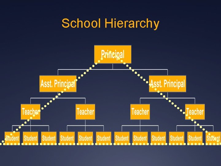 Warm Up 41 What are the 7 roles