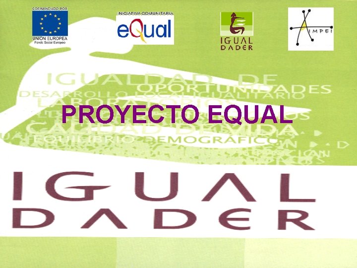PROYECTO EQUAL ASOCIACIN DE INVESTIGACIN Y MEDIACIN PARA