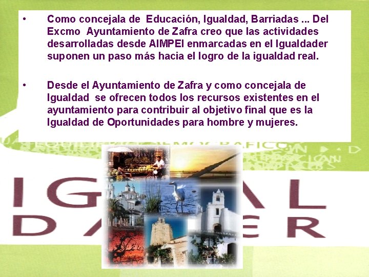 PROYECTO EQUAL ASOCIACIN DE INVESTIGACIN Y MEDIACIN PARA