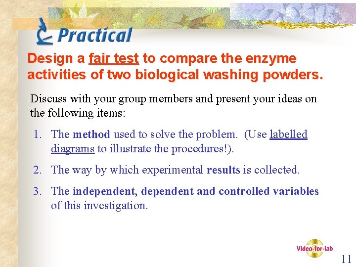 How are enzyme activities affected by temperature and