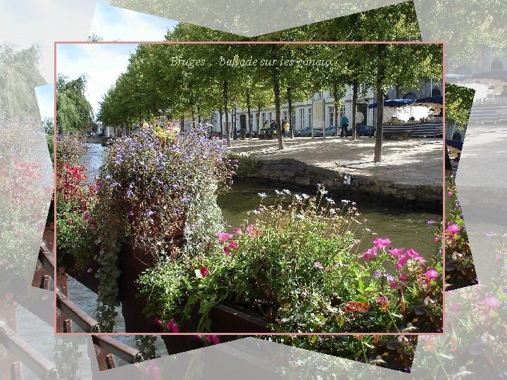 Images de Bruges Photos personnelles Crations Delia Florea