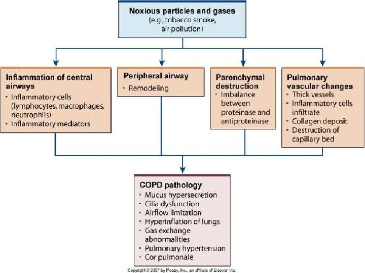 CHRONIC OBSTRUCTIVE PULMONARY DISEASE CHRONIC OBSTRUCTIVE LUNG DISEASES