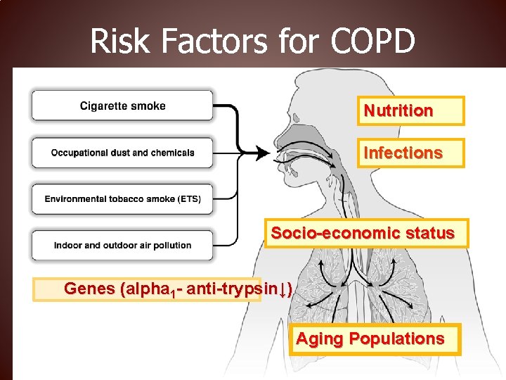 CHRONIC OBSTRUCTIVE PULMONARY DISEASE CHRONIC OBSTRUCTIVE LUNG DISEASES