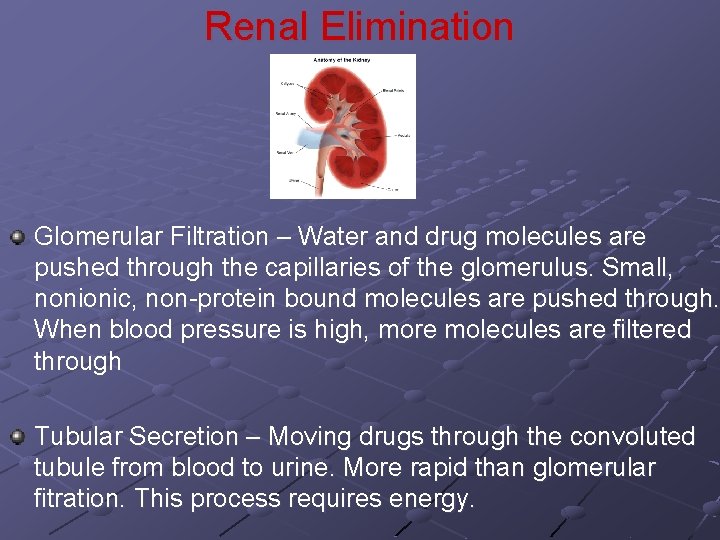 PHARMACOKINETICS Part 3 BIOTRANSFORMATION Drug metabolismdrug ...