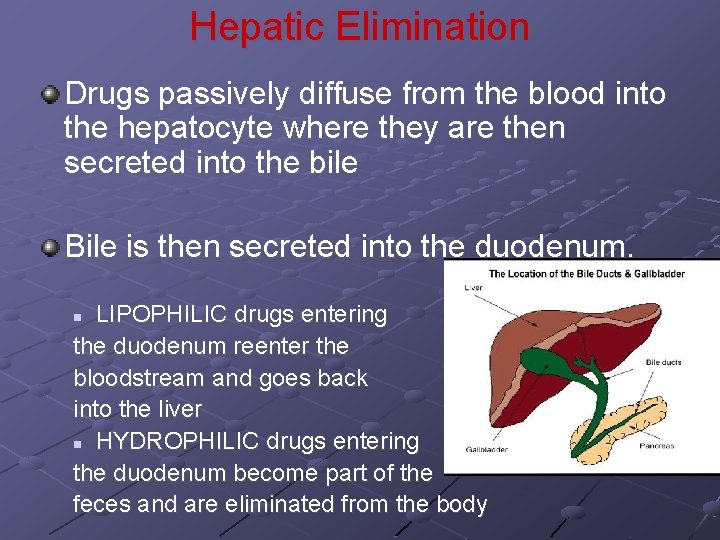 PHARMACOKINETICS Part 3 BIOTRANSFORMATION Drug metabolismdrug ...