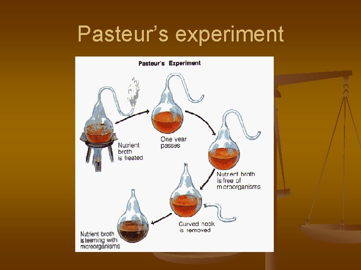 The Origin of Life Ch 14 2 For