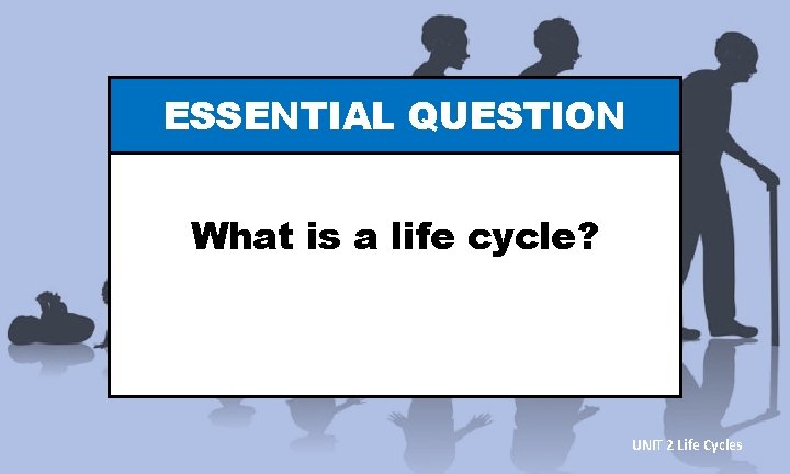 ESSENTIAL QUESTION What is a life cycle UNIT