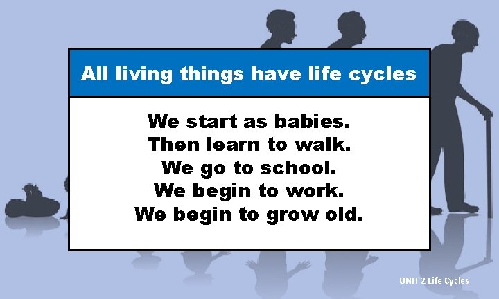 ESSENTIAL QUESTION What is a life cycle UNIT