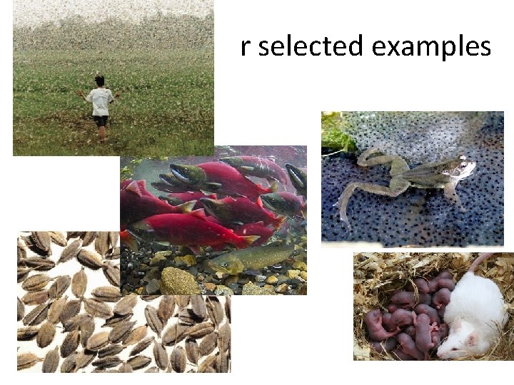 WarmUp 20 OCT 2014 1 Draw a graph