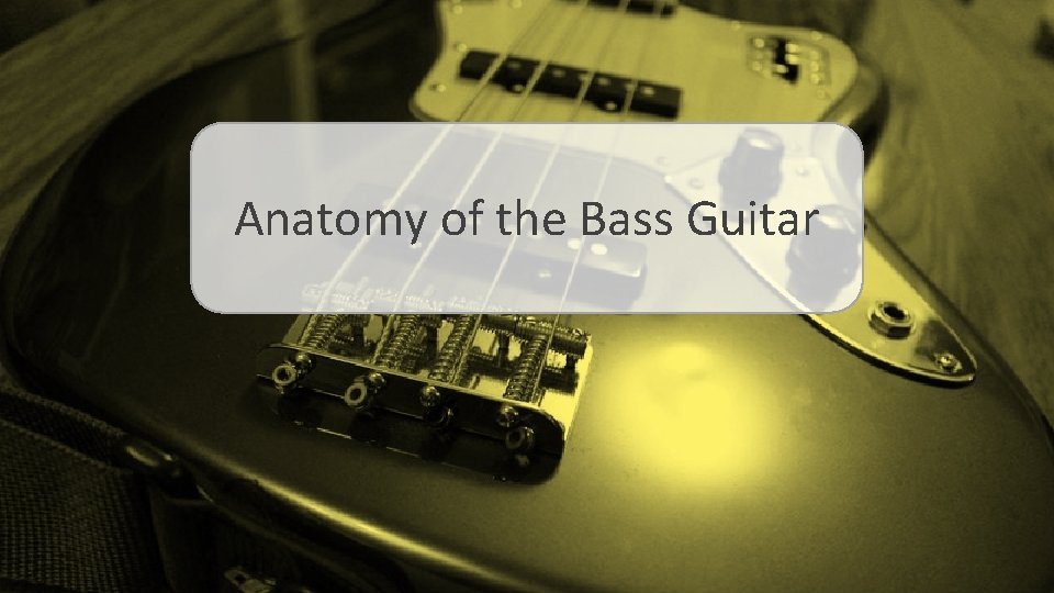 Anatomy of the Bass Guitar Headstock Neck Body