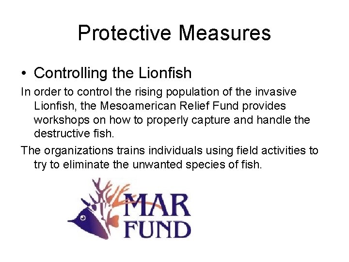 Environmental Factors and the Mesoamerican Barrier Reef By