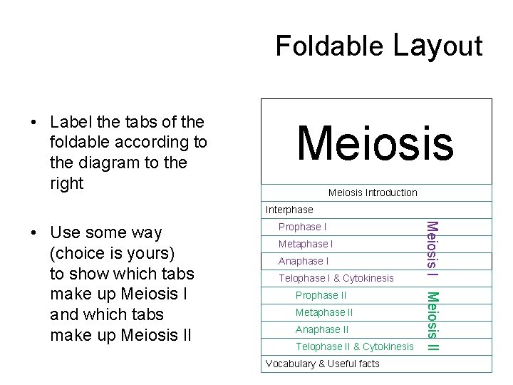 Meiosis 16 10 Feb Lt Explain mieosis q