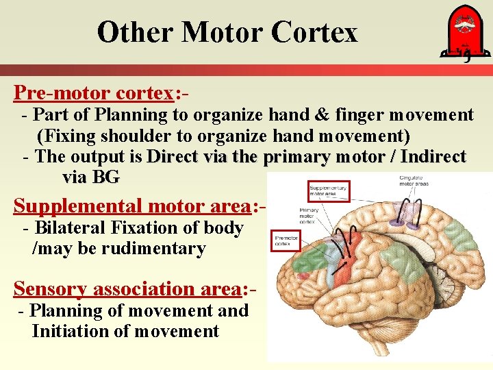 Physiology L 1 Control of Movement Objectives Describe