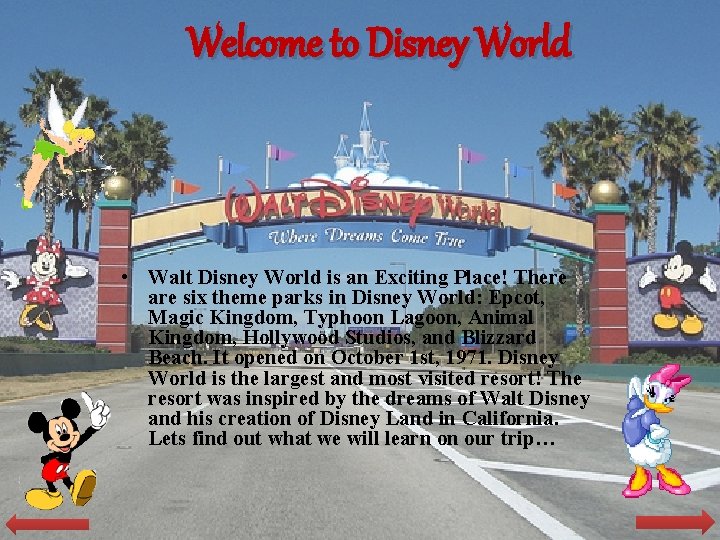 WALT DISNEY WORLD About Our Trip Travel Journal