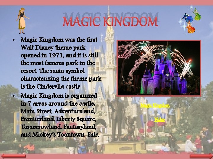 WALT DISNEY WORLD About Our Trip Travel Journal