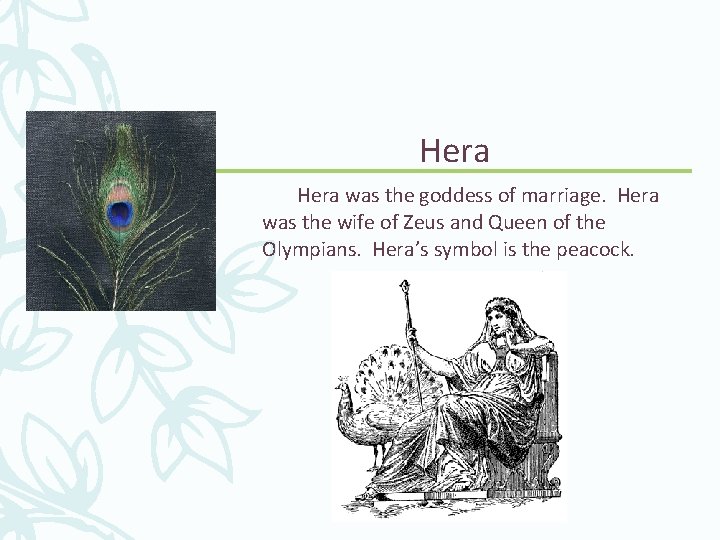 Zeus was the supreme god of the Olympians