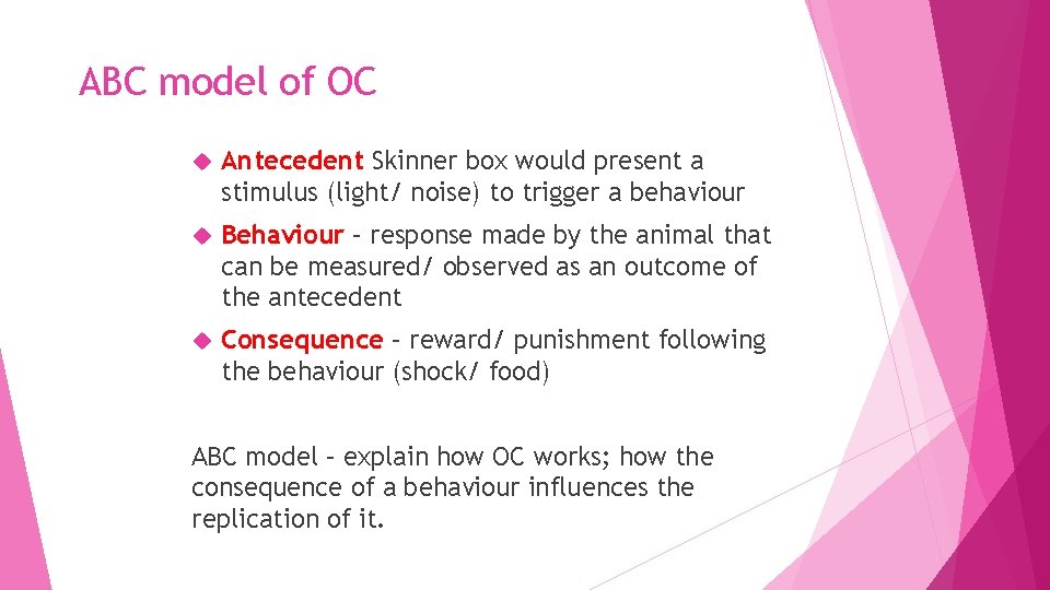 Operant Conditioning Skinner What is happening in these