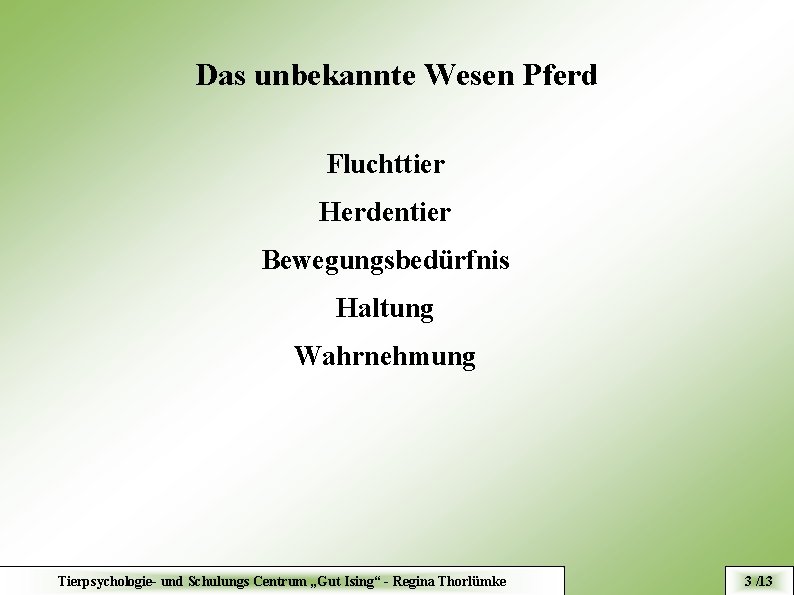 Lebensfreude mit Pferden Einsteigerseminar Tierpsychologie und ...