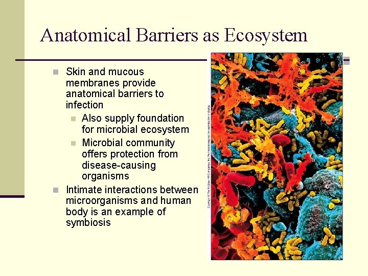 HostMicrobe Interactions Chapter 19 Drill 1 Explain how