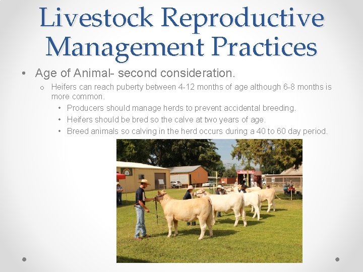 Animal Management Objective 5 03 Exemplify reproductive management