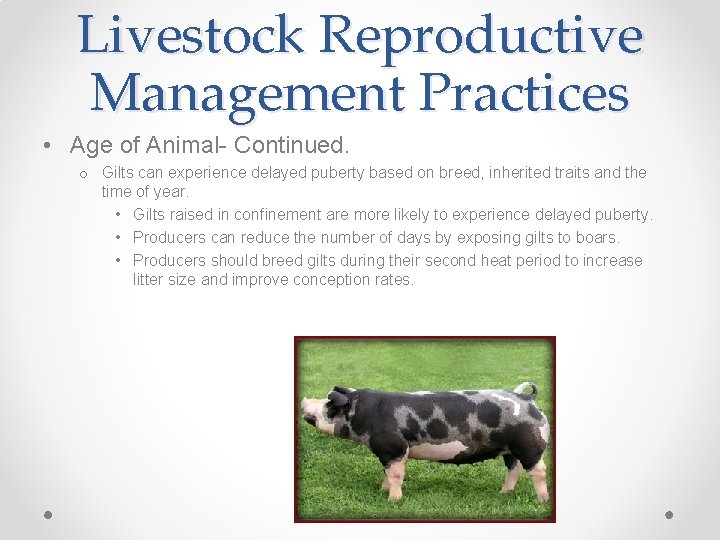 Animal Management Objective 5 03 Exemplify reproductive management