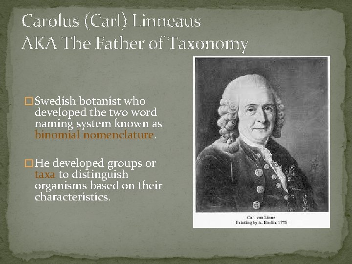 TaxonomyClassification Taxonomy The study of classifying organisms What