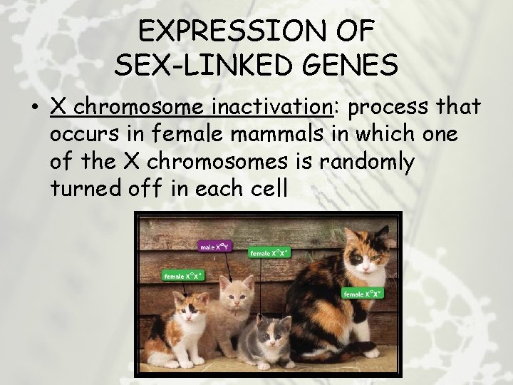EXTENDING MENDELIAN GENETICS DISORDERS CAUSED BY RECESSIVE ALLELES