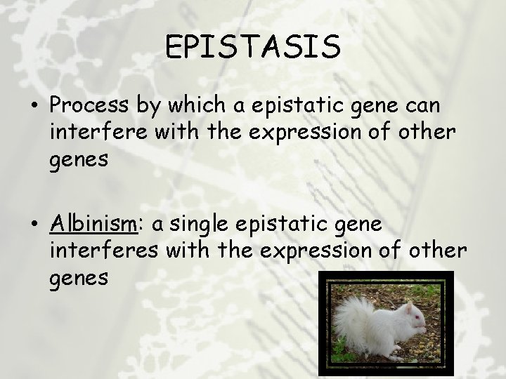 EXTENDING MENDELIAN GENETICS DISORDERS CAUSED BY RECESSIVE ALLELES