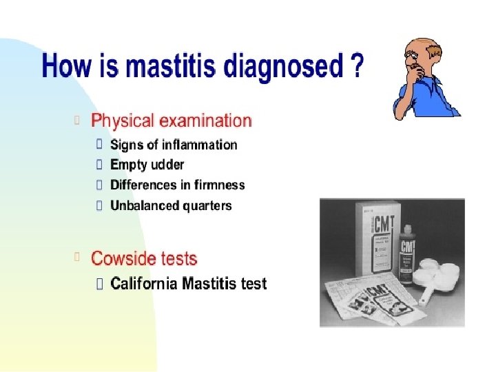 Bovine Mastitis Normal udder Vascularisation of udder Mastitisinflammed
