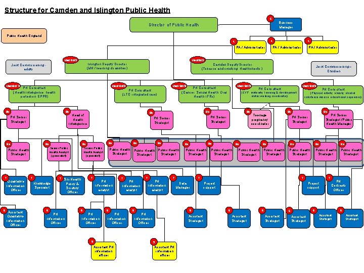 Structure for Camden and Islington Public Health 6
