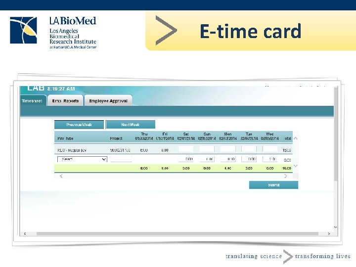 How to Complete a Timesheet for Your Paycheck
