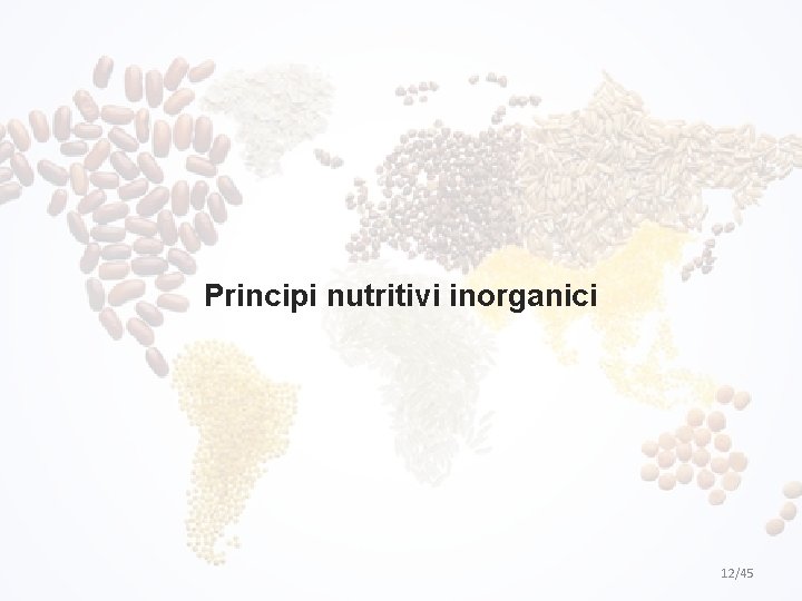 Alimentazione e dintorni Valentina Ermili Barbara Macaluso Classe