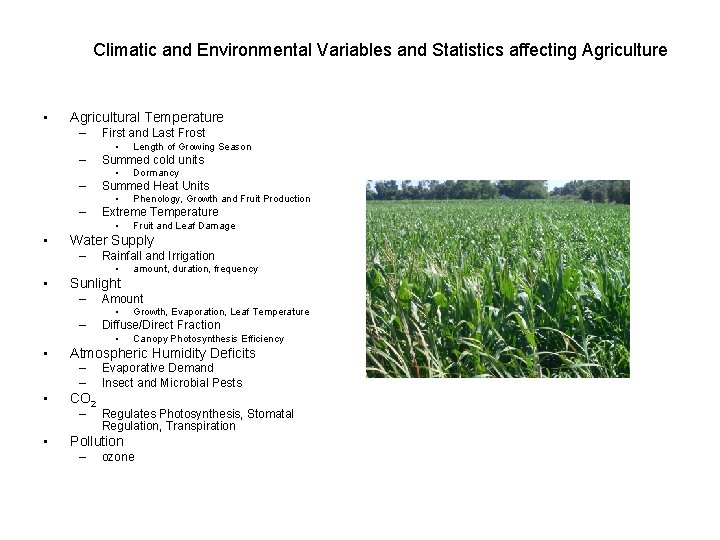 Climate Change and Agricultural Trends and BiDirectional Impacts