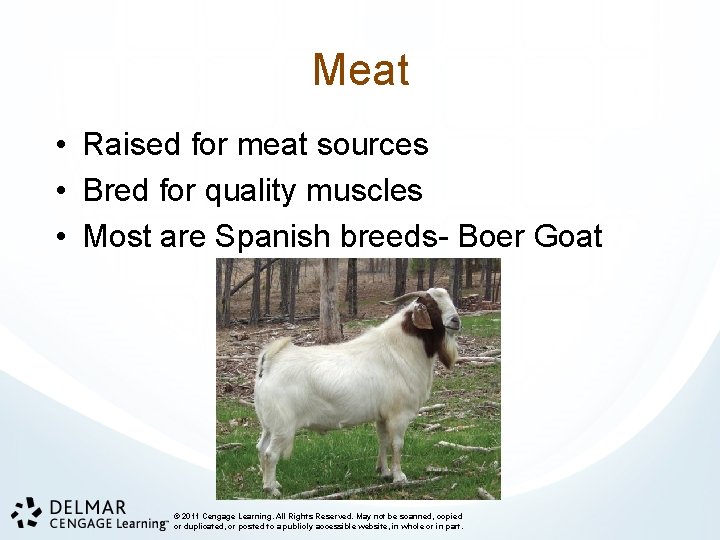 Chapter 23 Goat Breed Identification and Production Management