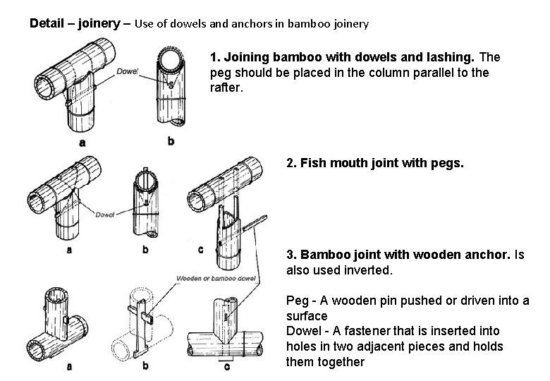 Bamboo as a construction material Anatomy of Bamboo