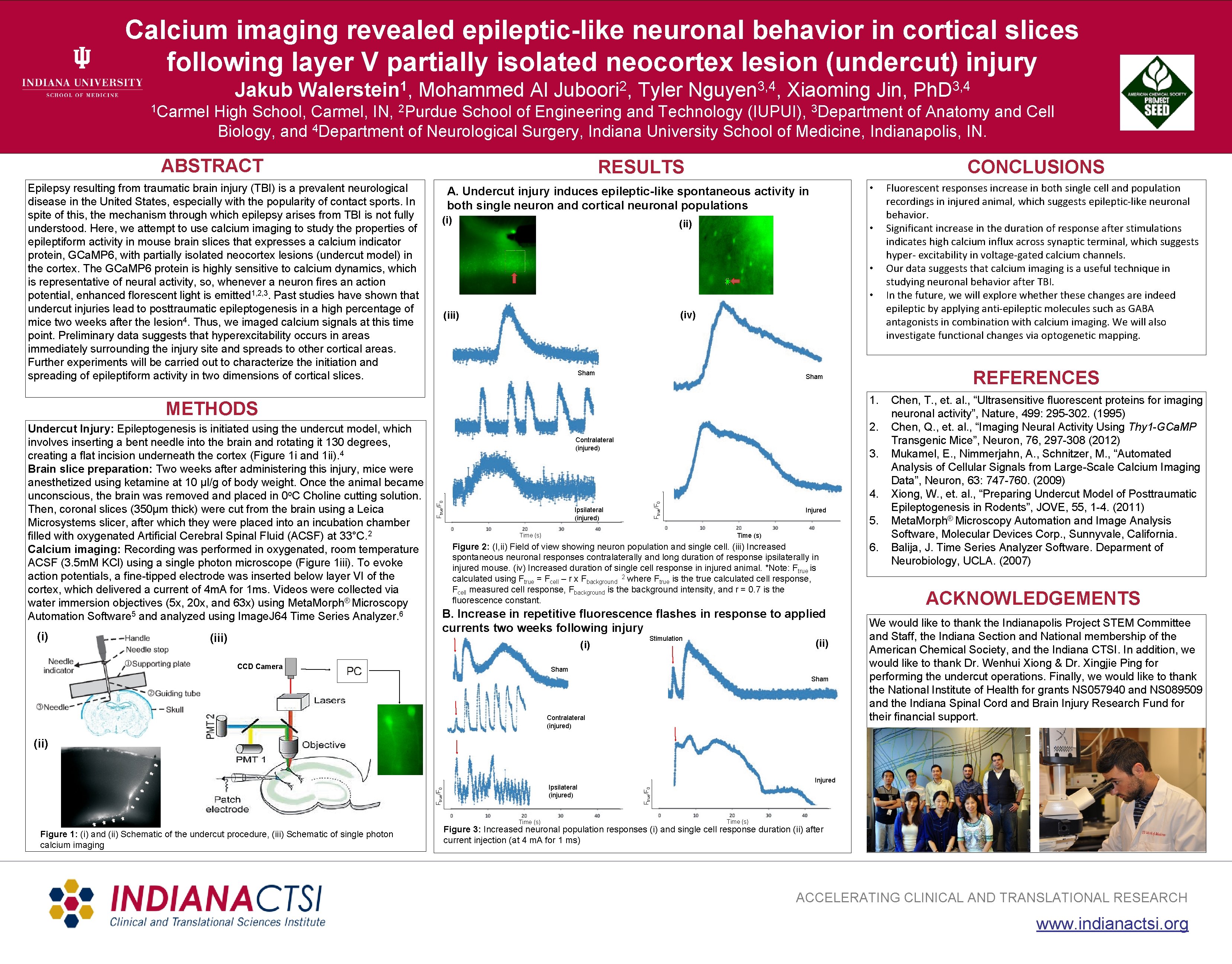 Calcium imaging revealed epilepticlike neuronal behavior in cortical