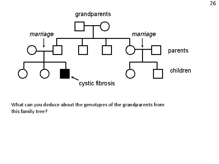 Inheritance pattern What eye colour would be possible