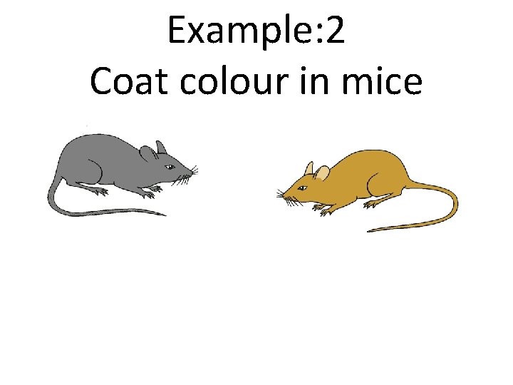 Inheritance pattern What eye colour would be possible